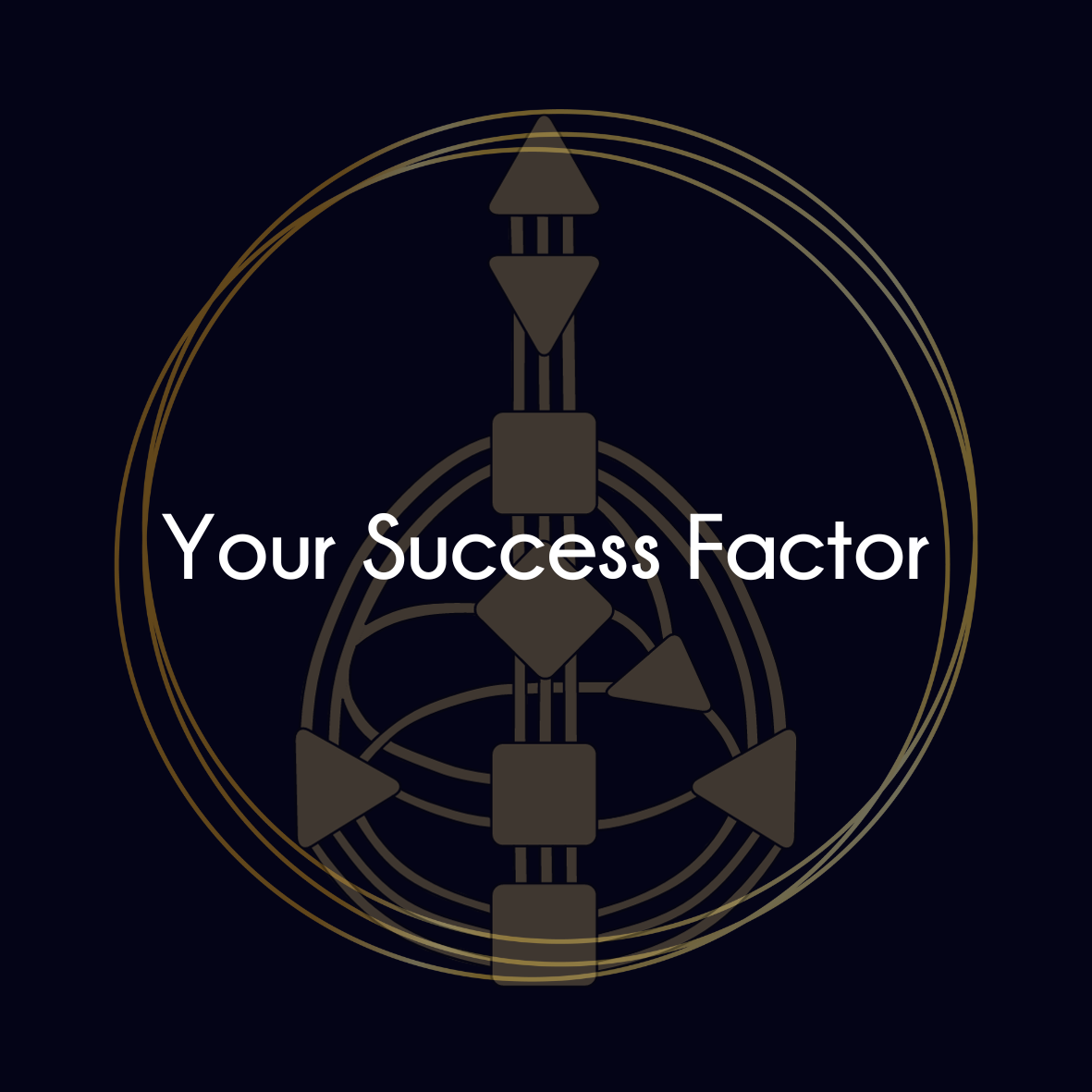 Success Factor – The HD Biz